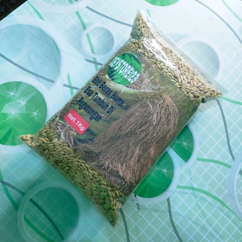 Jual Benih bibit padi huma lokal paket 1 kg | Shopee Indonesia