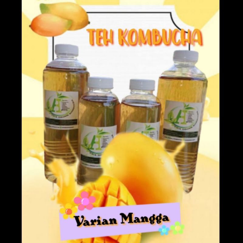 Jual Teh Kombucha Rasa Mangga Asli Menyehatkan | Shopee Indonesia