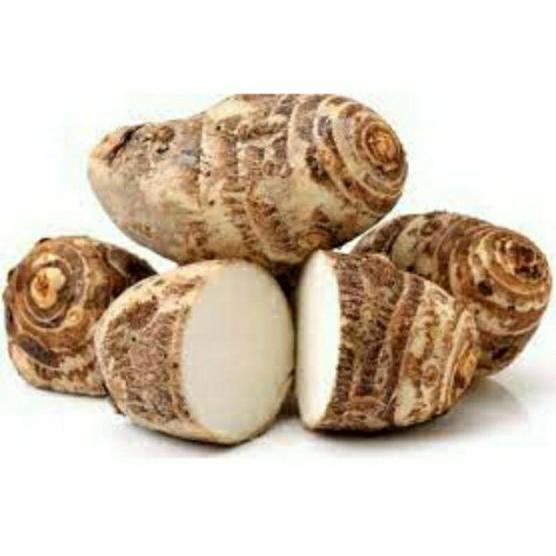 Jual umbi talas/kimpol bogor asli fresh 1kg | Shopee Indonesia