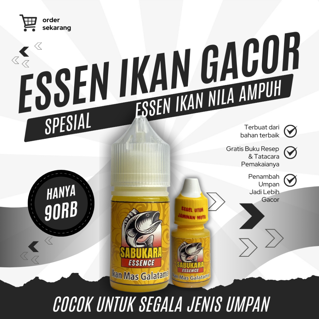 Jual Essen ikan mas indukan babon aroma bolu leci kemanggi | Shopee ...