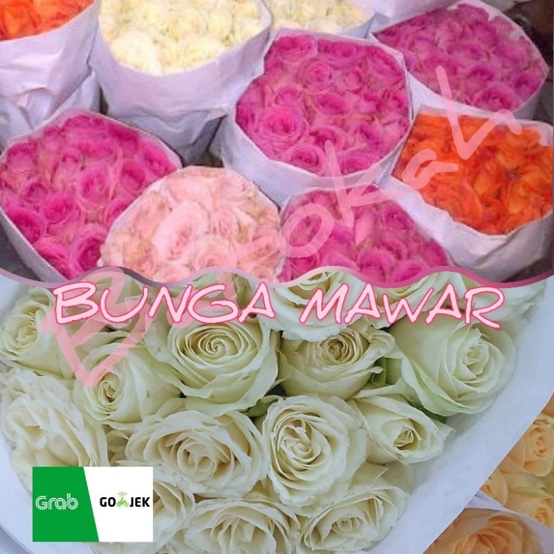 Jual bunga mawar pink 20 batang pink rose bunga potong segar | Shopee ...