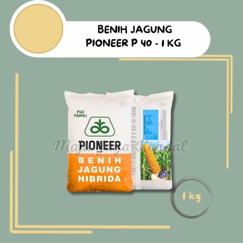Jual BENIH JAGUNG PIONEER P40 FAMILY - 1kg | Shopee Indonesia