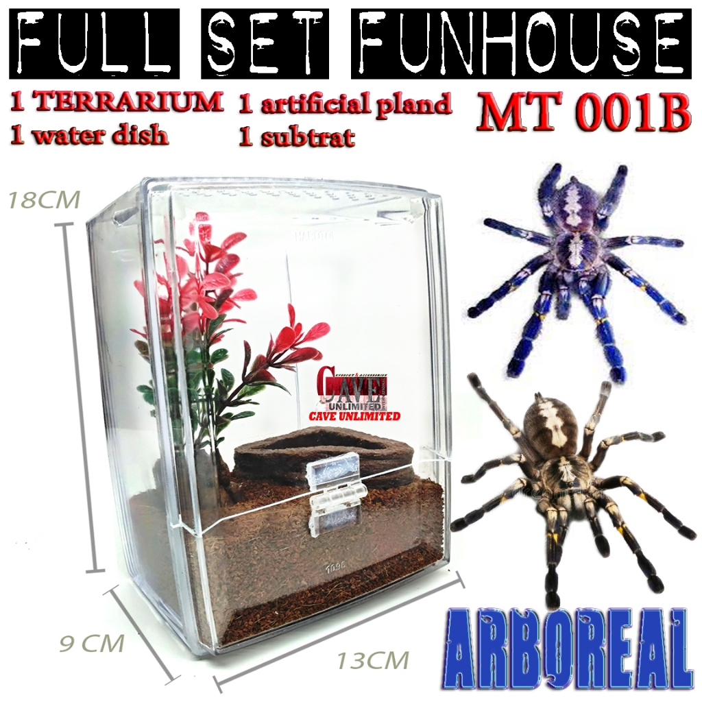 Jual MT001B FUN HOUSE FULL SET KANDANG TARANTULA ARBOREAL BURROW ...