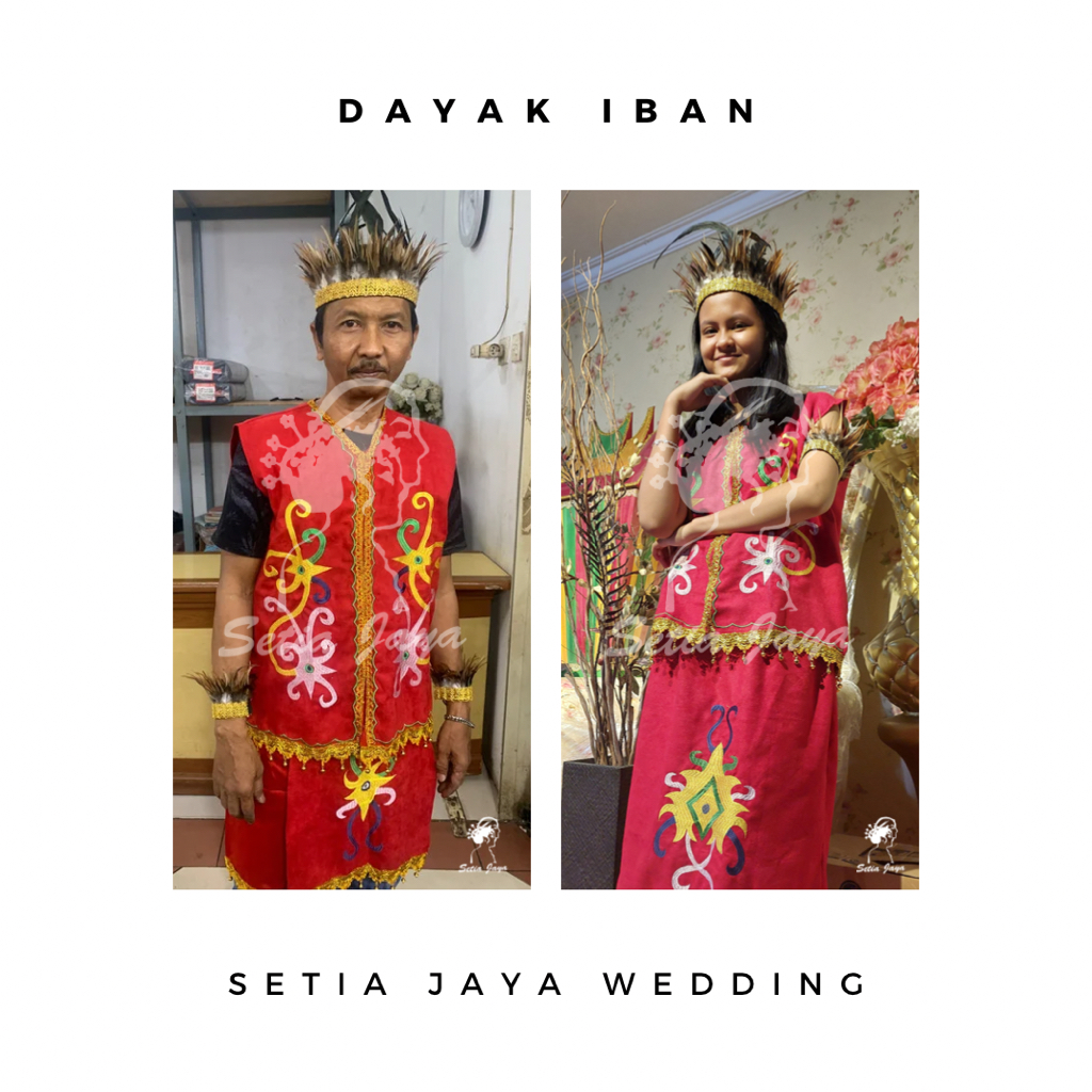 Jual Adat Dayak Iban Dewasa Adat Papua Dayak IKN Kalimantan Premium ...