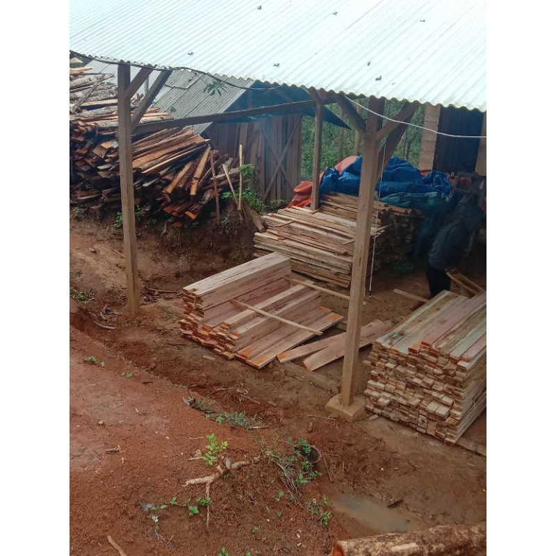 Jual papan kayu racuk keras 2,5x9x130/100 | Shopee Indonesia
