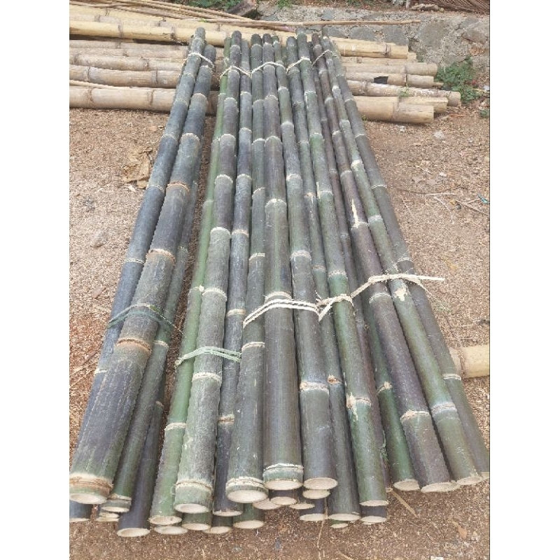 Jual Bambu Hitam Bambu Ulung Bulat Utuh Glondongan 100cm-150cm Bambu ...