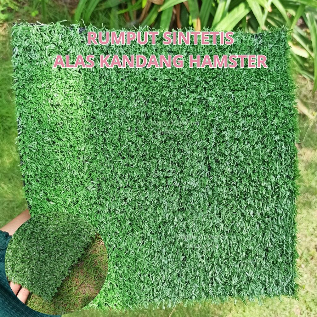 Jual ALAS KANDANG HAMSTER RUMPUT | CAGE DECORATION | RUMPUT PALSU ...