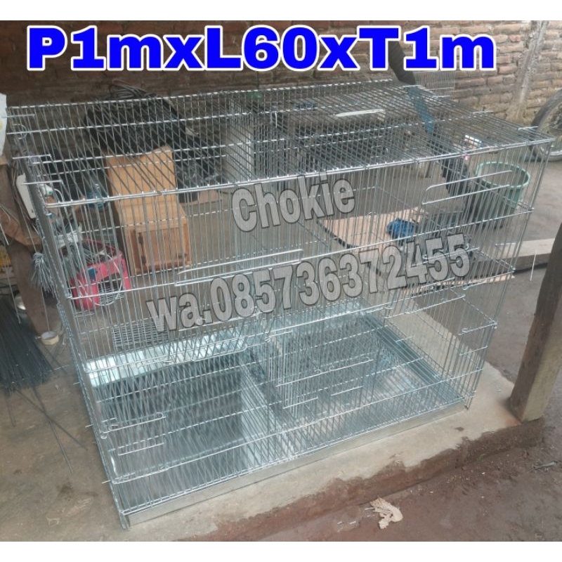 Jual Aviary Mini Terlengkap & Harga Terbaru Juni 2026 | Shopee Indonesia