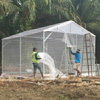 Jual Insect net Waring putih mesh 50 rol 3 x 100 meter | Shopee Indonesia