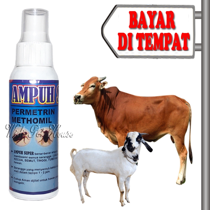 Jual Obat Anti Kutu Sapi Kerbau Kambing Domba Semprot Ampuh Super ...