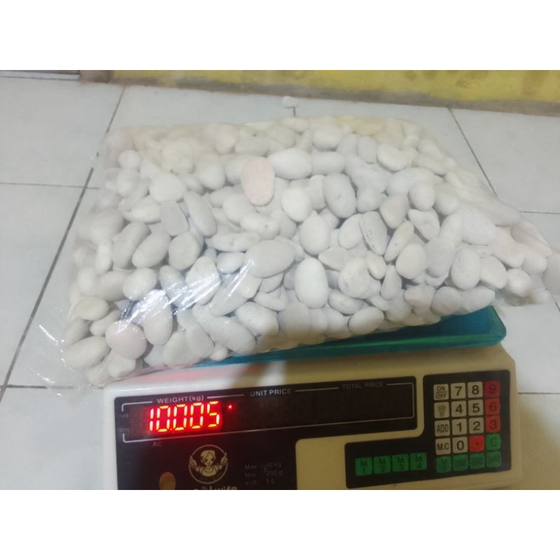 Jual 10kg batu koral putih/Batu kupang 10kg/Batu putih koral/Batu taman ...