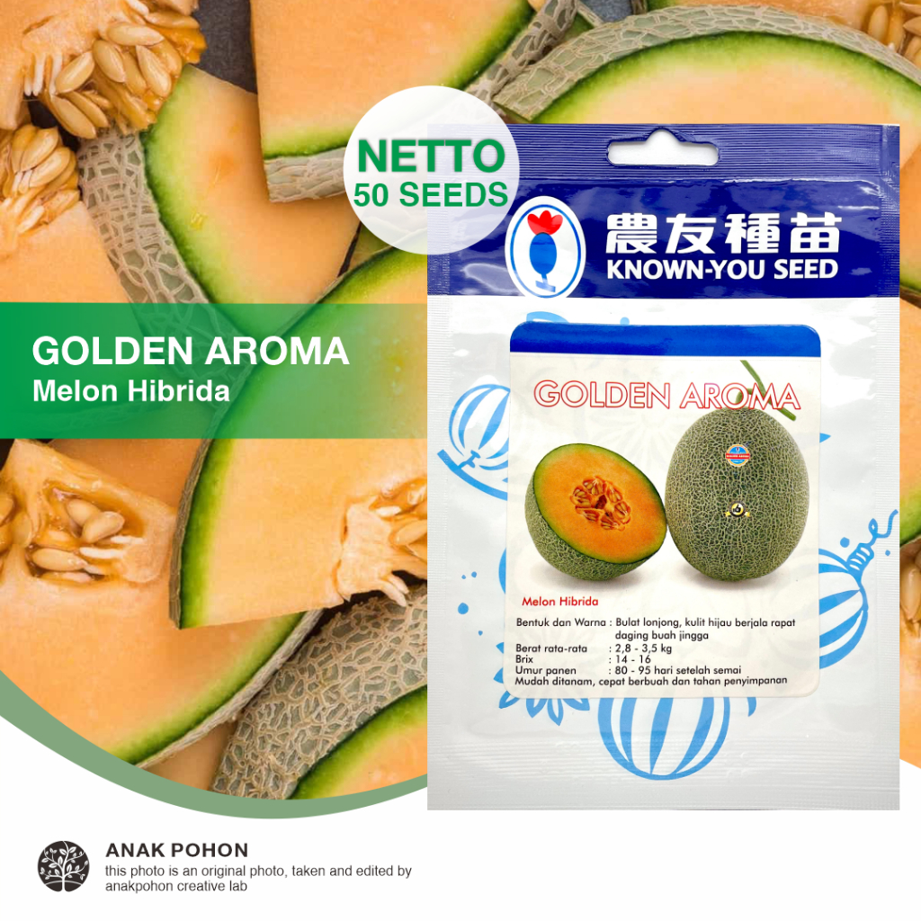 Jual (1 PACK - 50 SEEDS) Benih Melon Golden Aroma Oranye Hibrida F1 ...