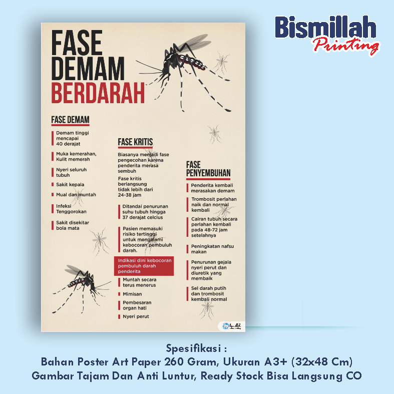 Jual Poster Kesehatan Fase Demam Berdarah | Shopee Indonesia