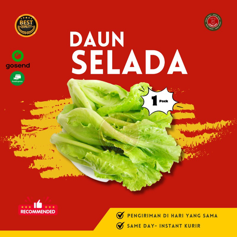 Jual (BISA INSTANT) Daun Selada 1 pack | Daun Selada Segar | Sayur ...