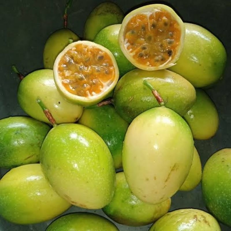 Jual Buah Markisa Hutan Atau Saprola Segar Dadakan 1 Kg | Shopee Indonesia