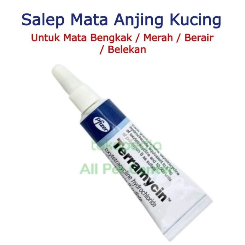 Jual Salep Mata Anjing Kucing Untuk Mata Merah Bengkak Berair Belekan ...