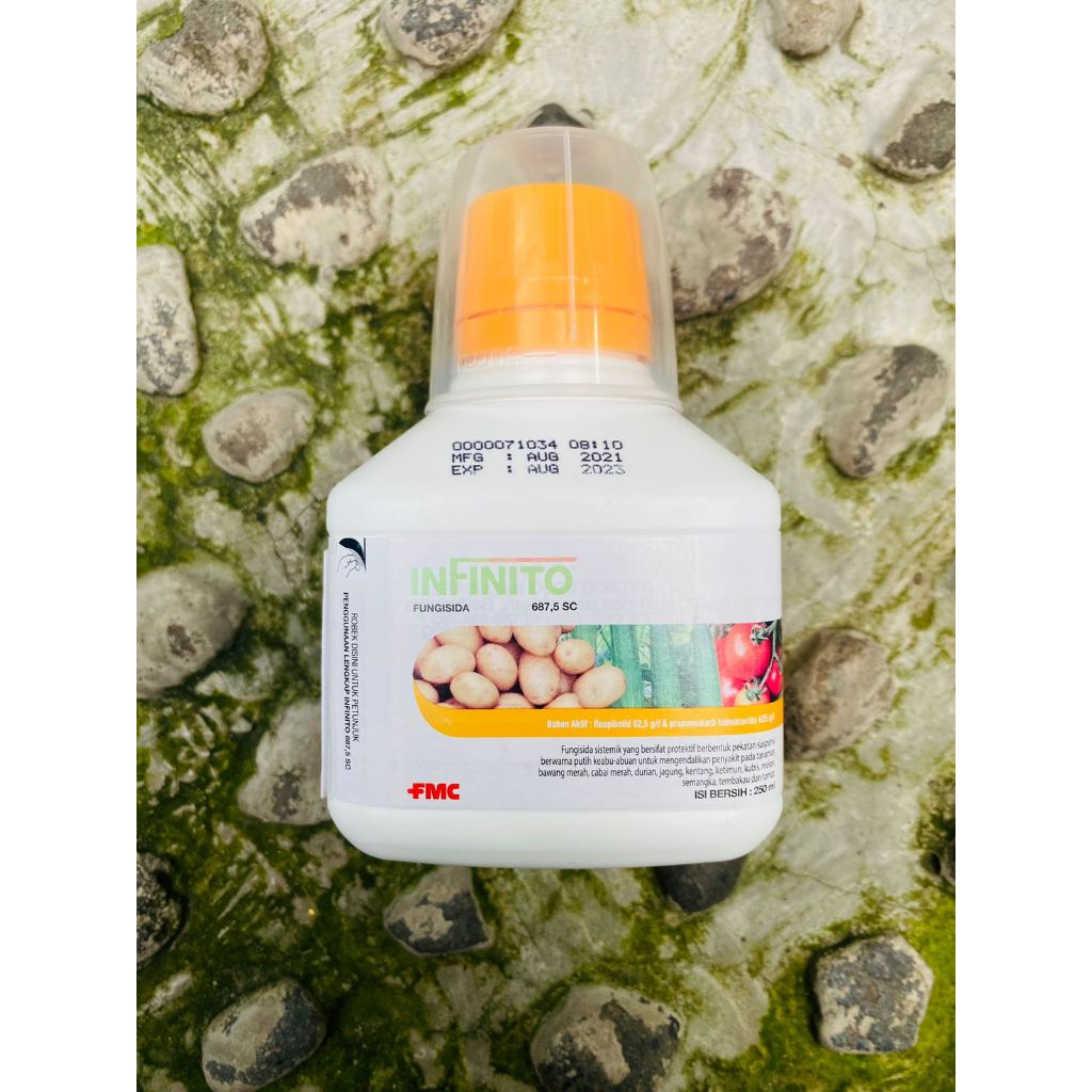 Jual Fungisida 687.5 sc INFINITO isi 250 ml dari FMC R | Shopee Indonesia