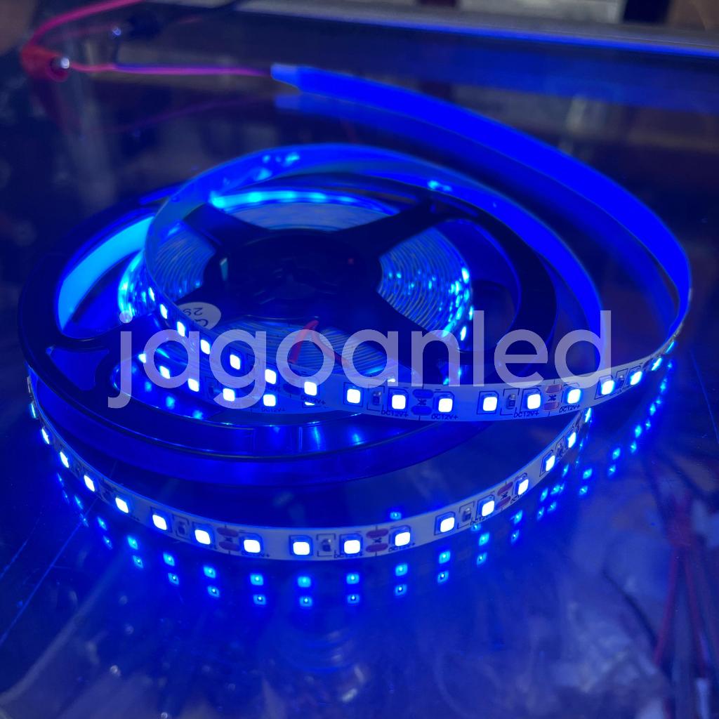 Jual Lampu LED Strip 2835 120 LED 120 Mata Lampu IP33 12V | Shopee ...