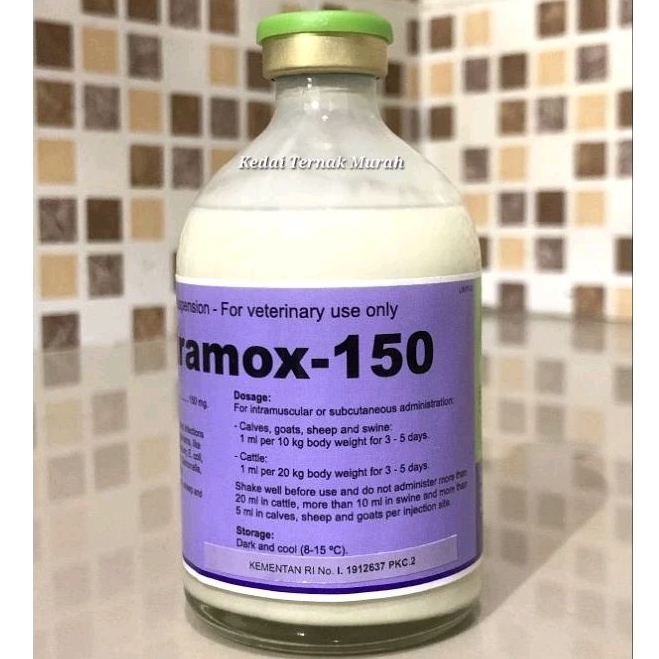 Jual Intramox 100ml Inj Antibiotik Hewan Amoxicillin Spektrum Luas Sapi ...