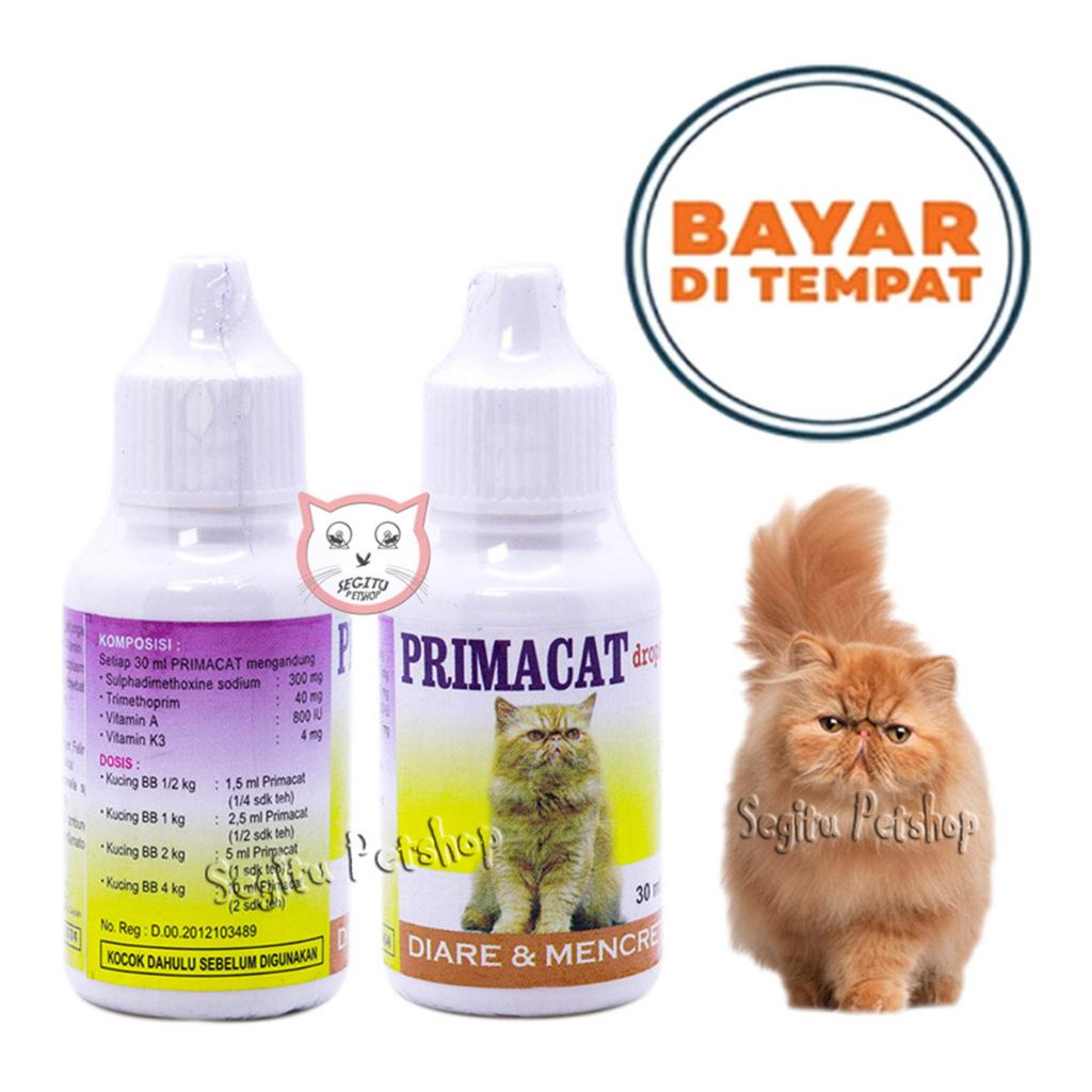 Jual OBAT DIARE MENCRET KUCING SAKIT PENCERNAAN BUANG AIR BESAR ...