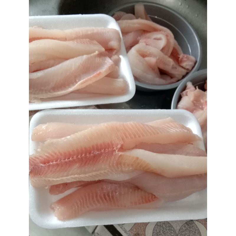 Jual Gabus fillet Sedang-Besar 500gr (Tanpa Duri) | Shopee Indonesia