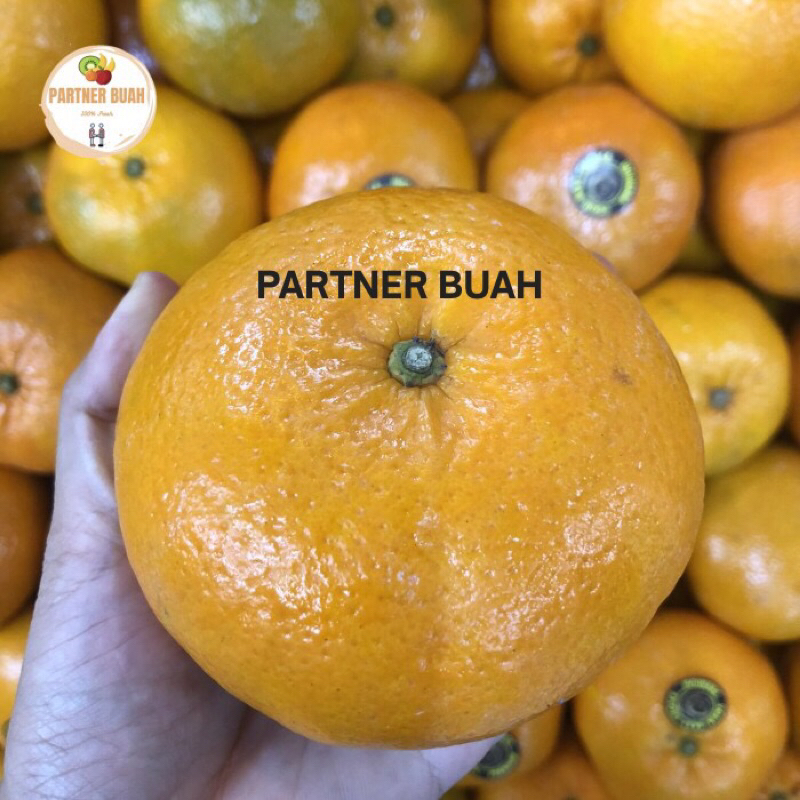 Jual Jeruk Honey Murcot Jumbo Premium 1 Kg | Shopee Indonesia