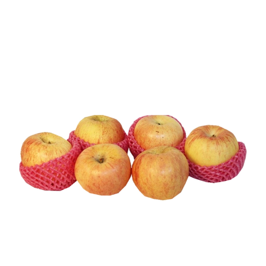 Jual APEL FUJI CHINA PREMIUM (PACK) + / - 1 KG (1037) | Shopee Indonesia