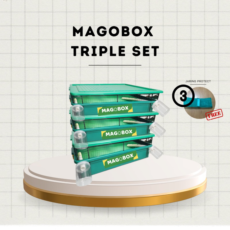 Jual Magobox Triple Set Paket Budidaya Maggot Bertingkat Skala Rumah ...