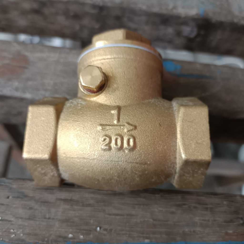 Jual Swing Check Valve 1" Inch Onda / Single Flow / Inline Swing ...
