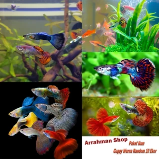 Produk Arrahman Shop2 | Shopee Indonesia