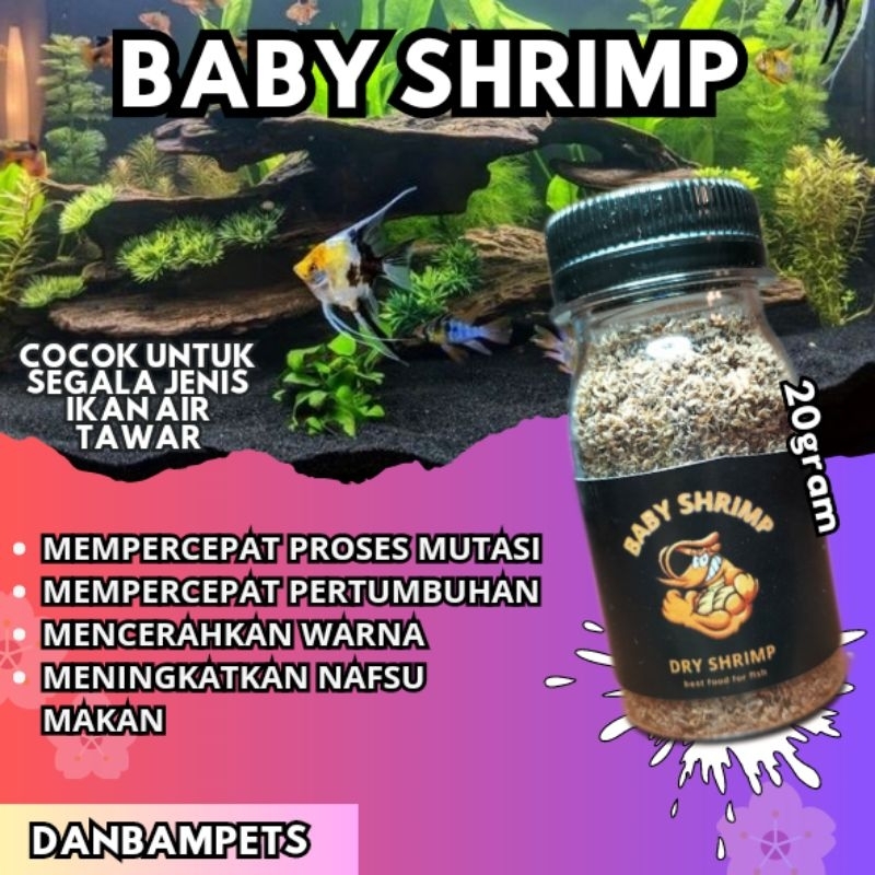 Jual Baby Shrimp Premium Pakan Udang Kecil Kering Ikan Cupang dan Ikan ...