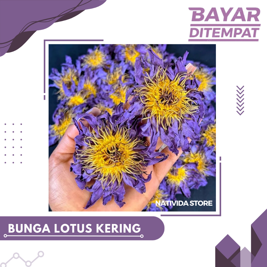 Jual BUNGA LOTUS BIRU KERING / BUNGA LOTUS KERING BIRU / DRIED BLUE ...