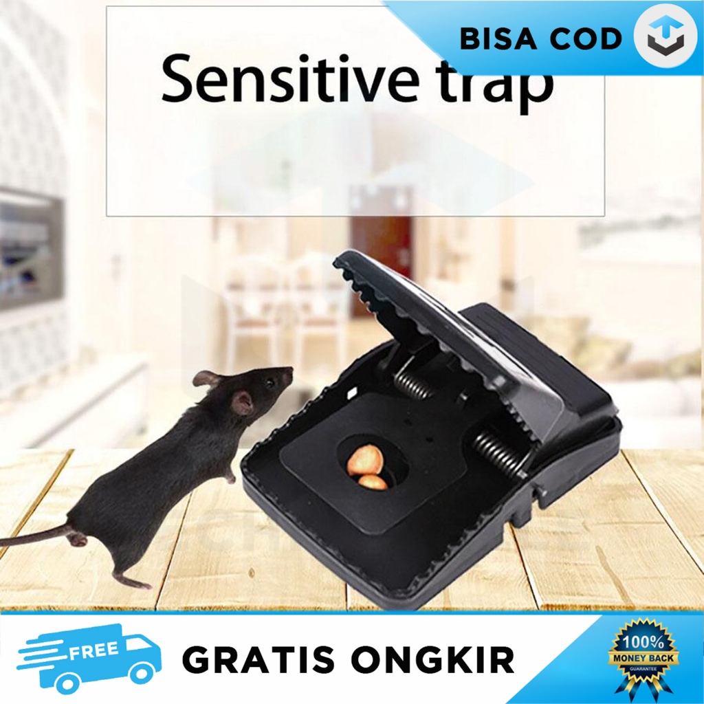 Jual MOUSE TRAP JEBAKAN PERANGKAP TIKUS ALAT PENJEPIT PEMBASMI SERANGGA ...