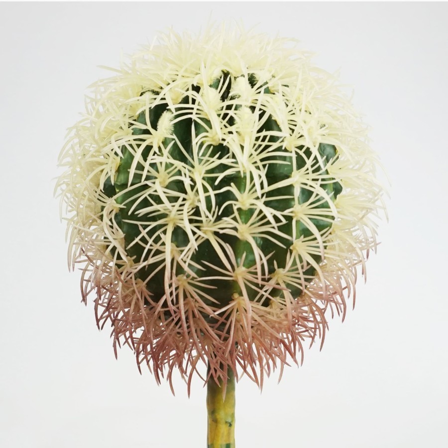 Jual CACTUS HIAS/ CACTUS PALSU/ TANAMAN KAKTUS/ DAUN KAKTUS/ CACTUS ...