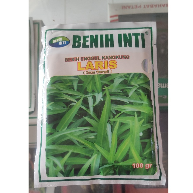 Jual benih kangkung laris benih inti 100g daun sempit hijau biji bibit ...