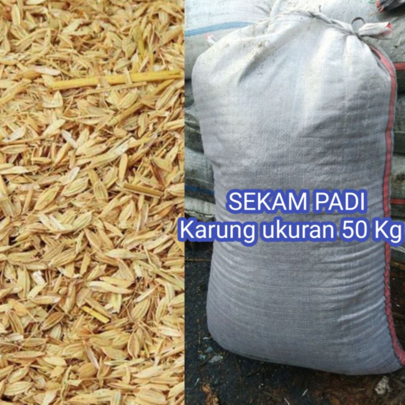 Jual Sekam padi / Merang 1 Karung (Ukuran karung 50 Kg) | Shopee Indonesia