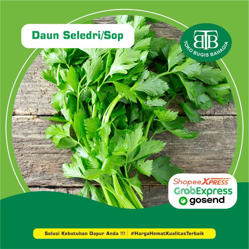 Jual Daun seledri/sop Murah makassar | Shopee Indonesia