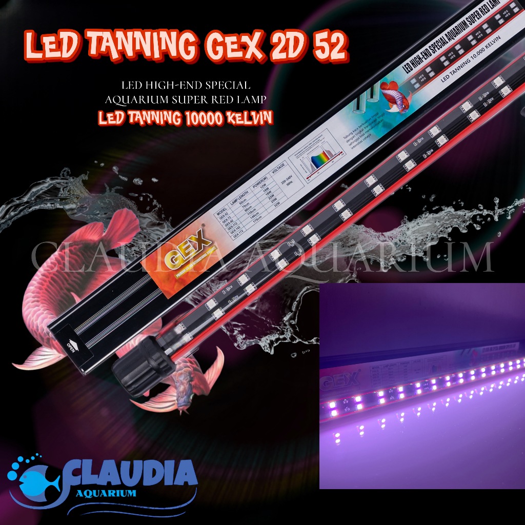 Jual Lampu LED View Tanning Arwana SAKKAI PRO T8 2D GEX 52 10000K 12W Special Super Red Lamp Led ...