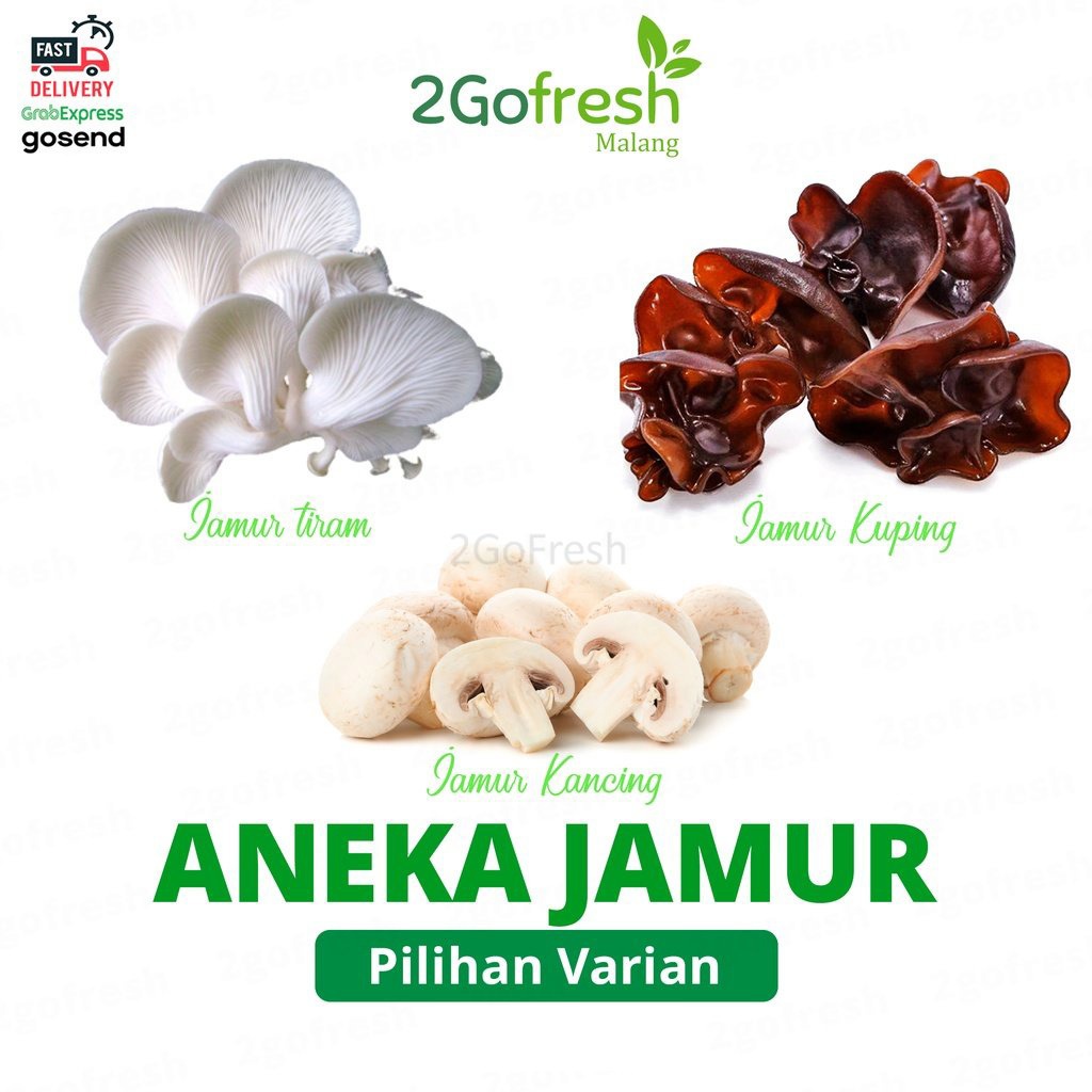 Jual Aneka Jamur/ Mushroom Fresh - Sayur Sayuran | Shopee Indonesia