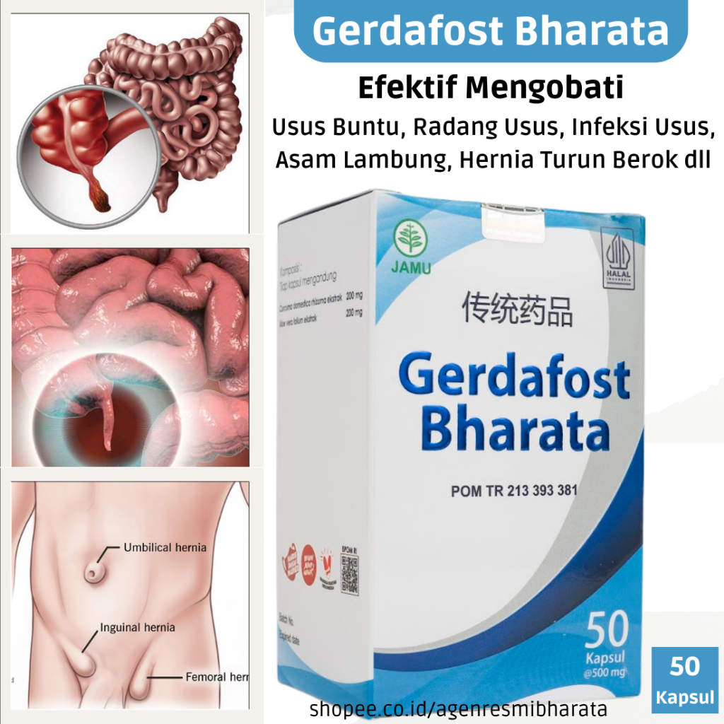 Jual Obat Usus Buntu Ampuh Original | Obat Radang Usus Gerd Lambung ...