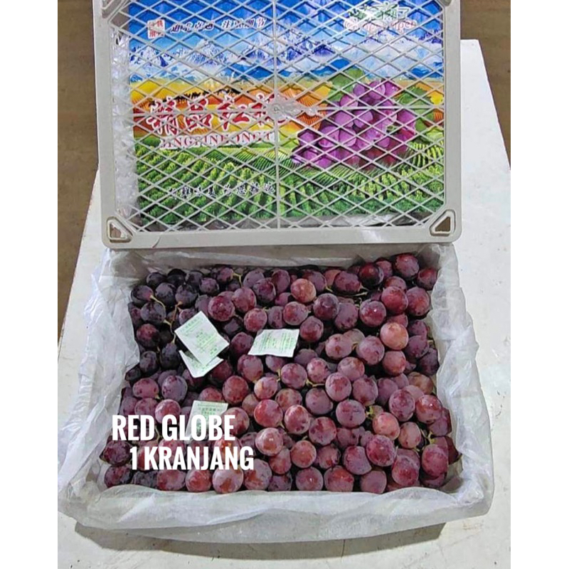 Jual BUAH ANGGUR MERAH RED GLOBE KRANJANGAN | Shopee Indonesia