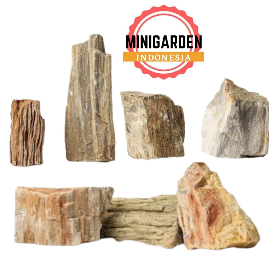 Jual BATU FOSIL KAYU 1KG batu aquascape batu taman batu aquarium paludarium | Shopee Indonesia