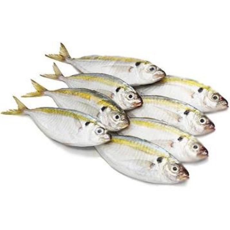Jual Ikan Selar 500gr-1kg | Shopee Indonesia