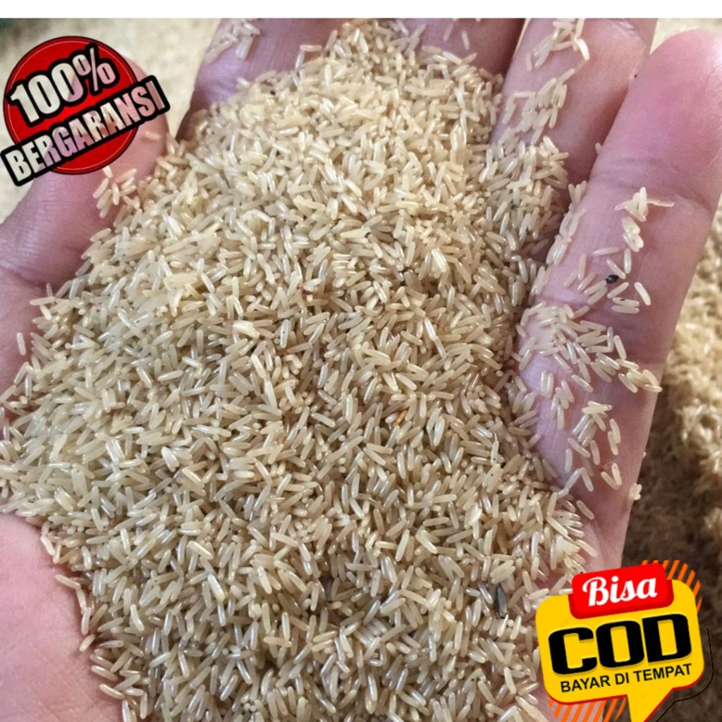 Jual Telur Jangkrik Alam Sliring Terek 500g berkwalits dan Bergaransi ...