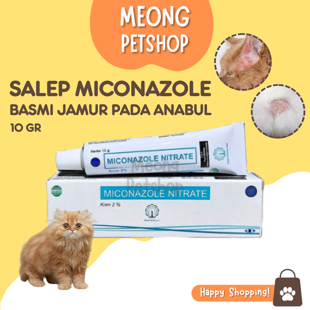 Jual MICONAZOLE Salep Jamur Ringworm Kucing - Meong Pets | Shopee Indonesia