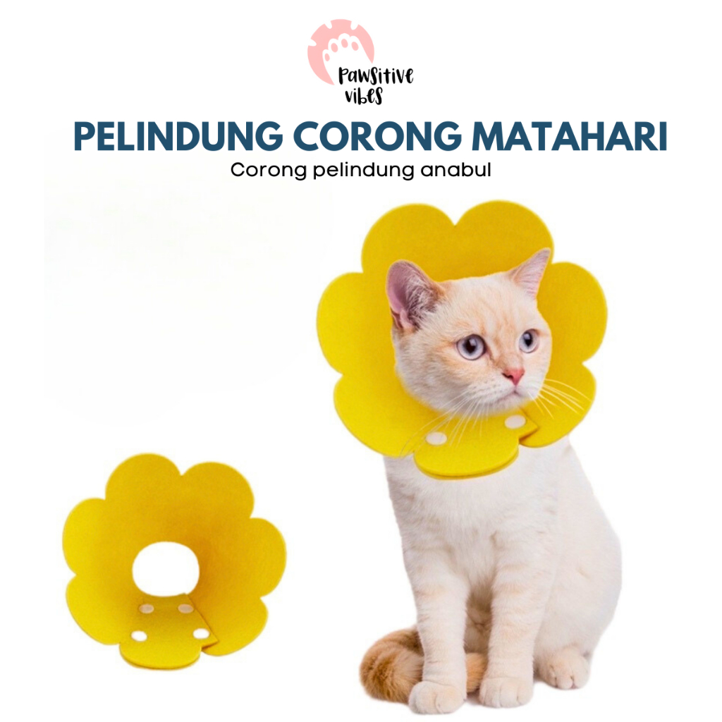 Jual CORONG MATAHARI PELINDUNG LEHER BAHAN EVA - Collar corong ...