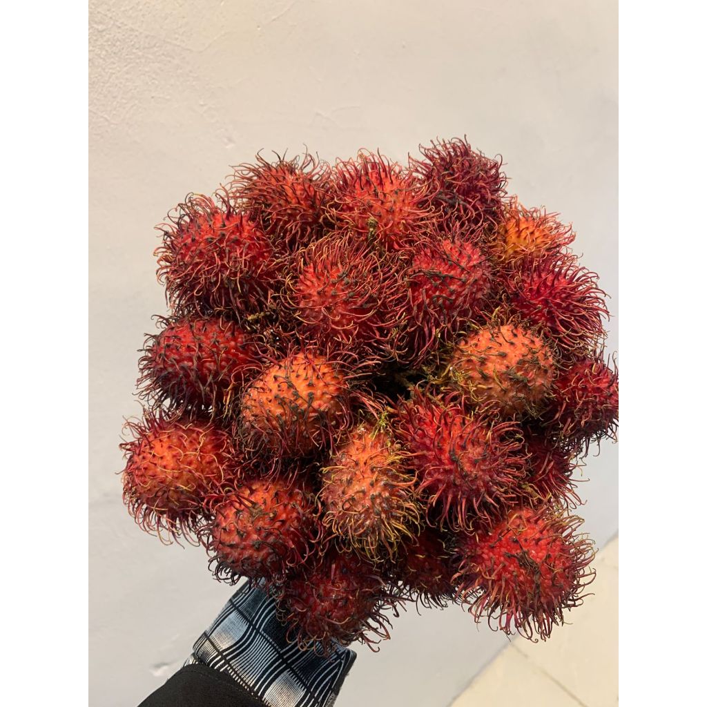 Jual Rambutan Manis Segar 1 Ikat | Shopee Indonesia