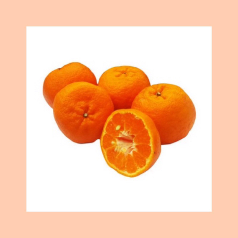 Jual Jeruk ponkam mandarin / jeruk ponkam | Shopee Indonesia