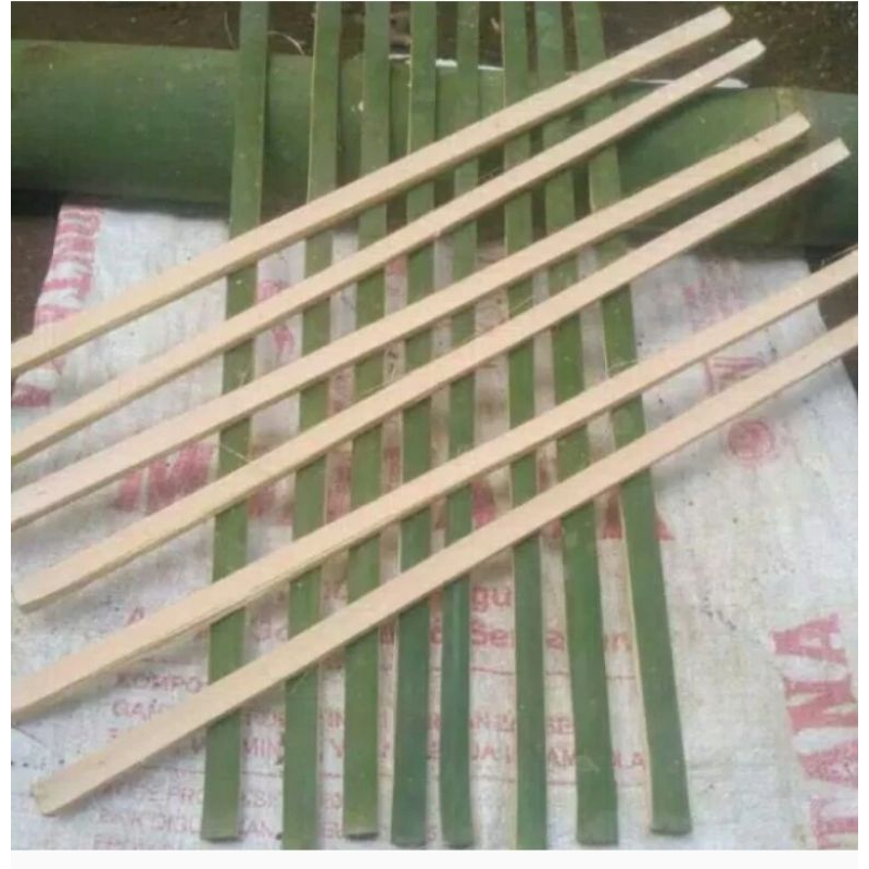 Jual readystok batang bilah bambu untuk Tanaman pager ukuran 90 - 100cm ...