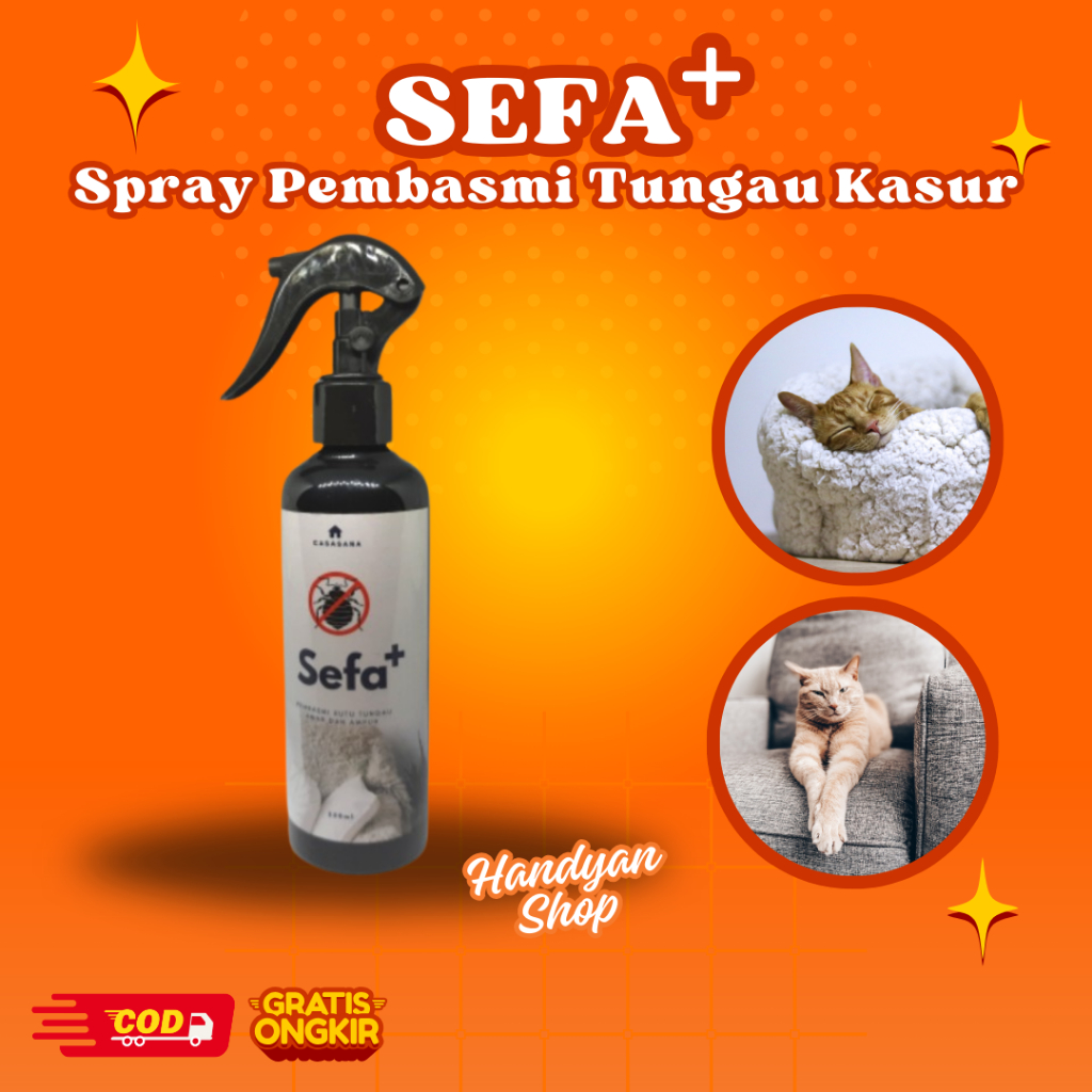 Jual Obat Anti Kutu Kasur Sefa Plus Pembasmi Tungau Kutu Busuk Kutu ...